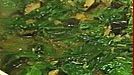 Popular Julia Child Recipes | Explore by Cuisine, Course,… | PBS Food