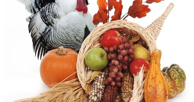 Thanksgiving Recipes, Menu Planning Tips and More | PBS Food