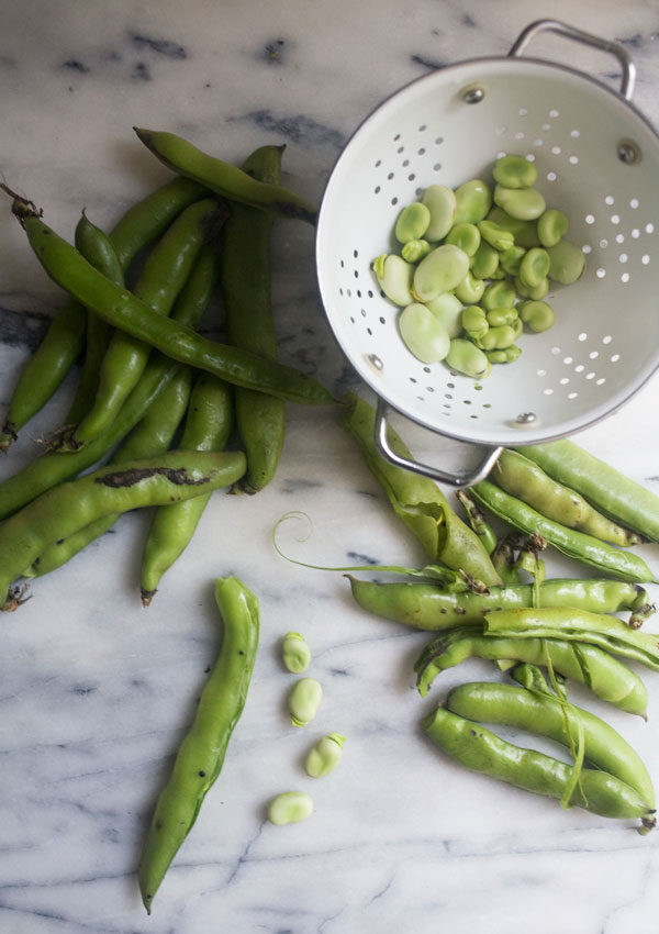Fava Bean Mash Ricotta Toasts Recipe | Appetizer Recipes |… | PBS Food