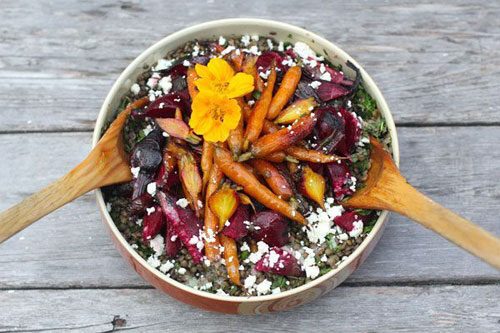 Discover the History of Beets | Stories | PBS Food