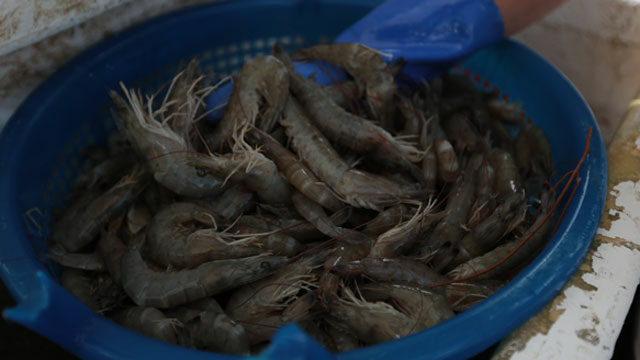 BBQ Peel and Eat Shrimp with Lemon Mayo Recipe | PBS Food | PBS Food