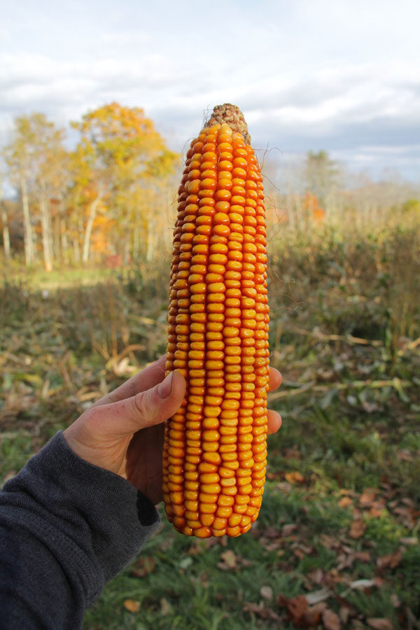 How Corn Brings Our Community Together | Stories | PBS Food