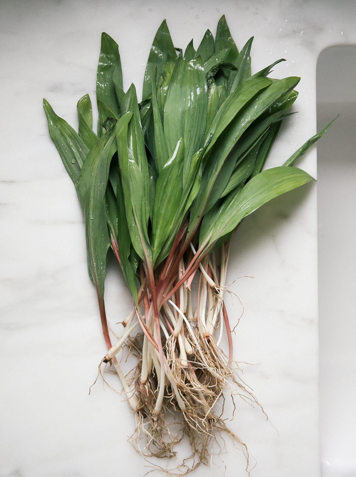 Recipe for Ramp Butter | PBS Food