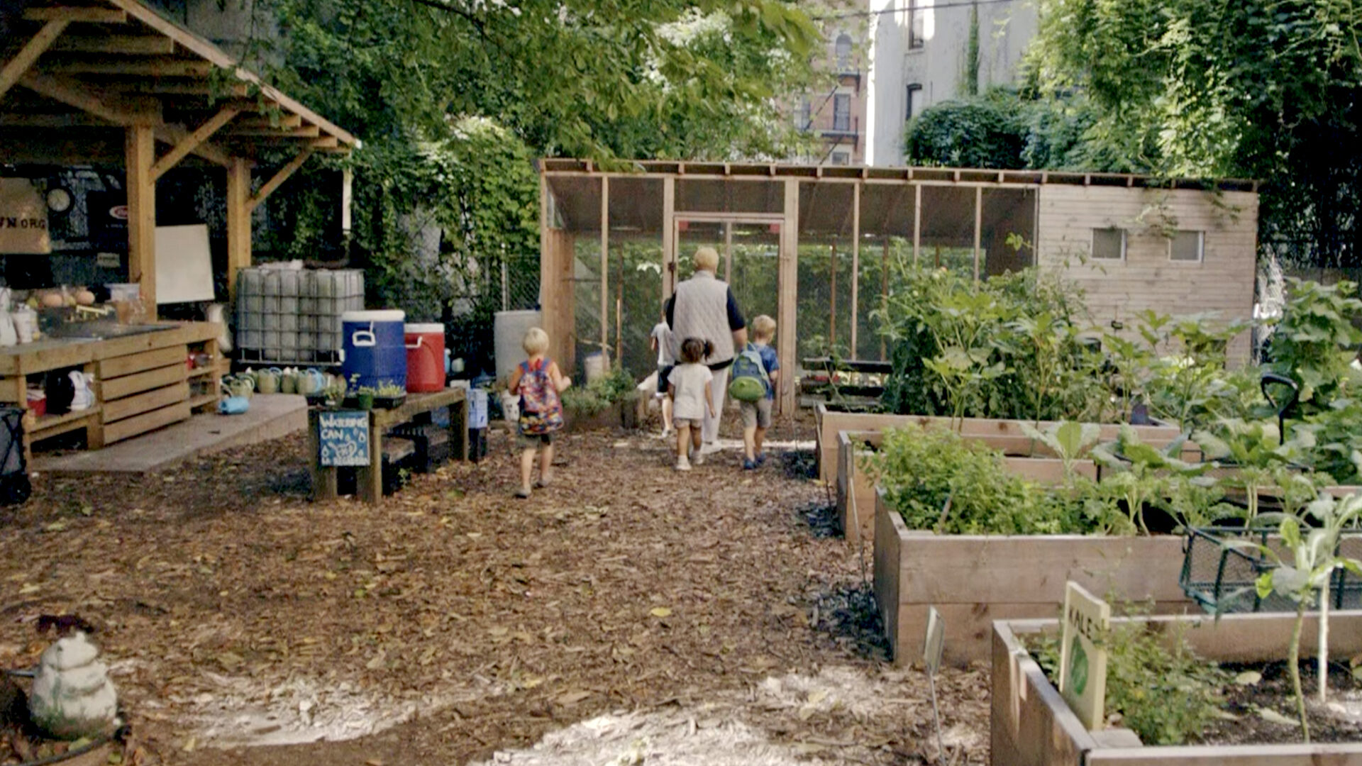 Harlem Grown: An Oasis in New York City | Stories | PBS Food